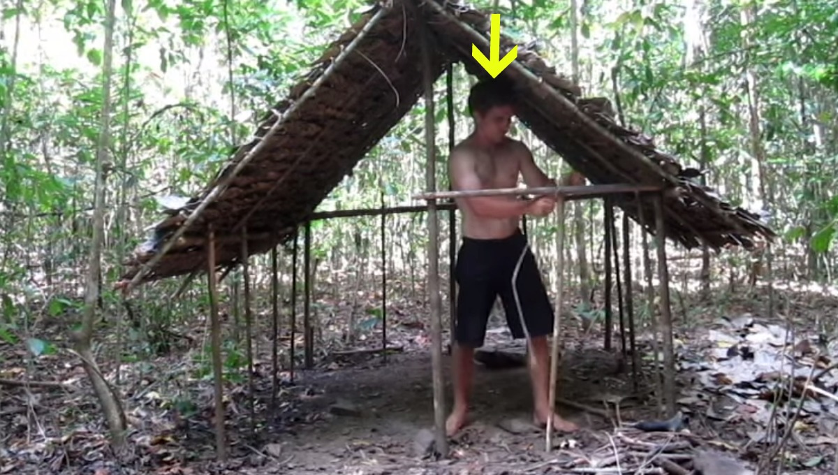 Joven Construye Una Choza Al Estilo Primitivo En Medio Del Bosque Con ...