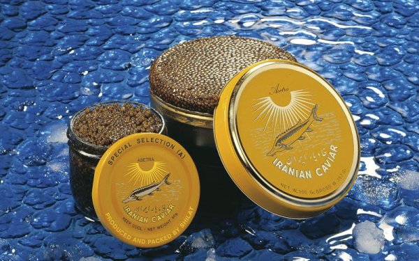 Las 19 Cosas Más Caras Del Mundo ¡Algunas Son Imposibles De Adquirir ...